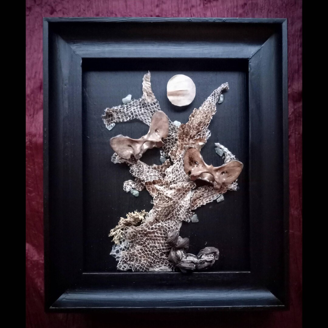 Snake Skin Tree With Coyote Bones and Green Aventurine - Etsy