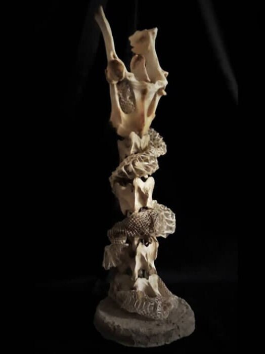 Sacred Shiva Trident Sculpture - Bone and Snake Skin Art - Etsy