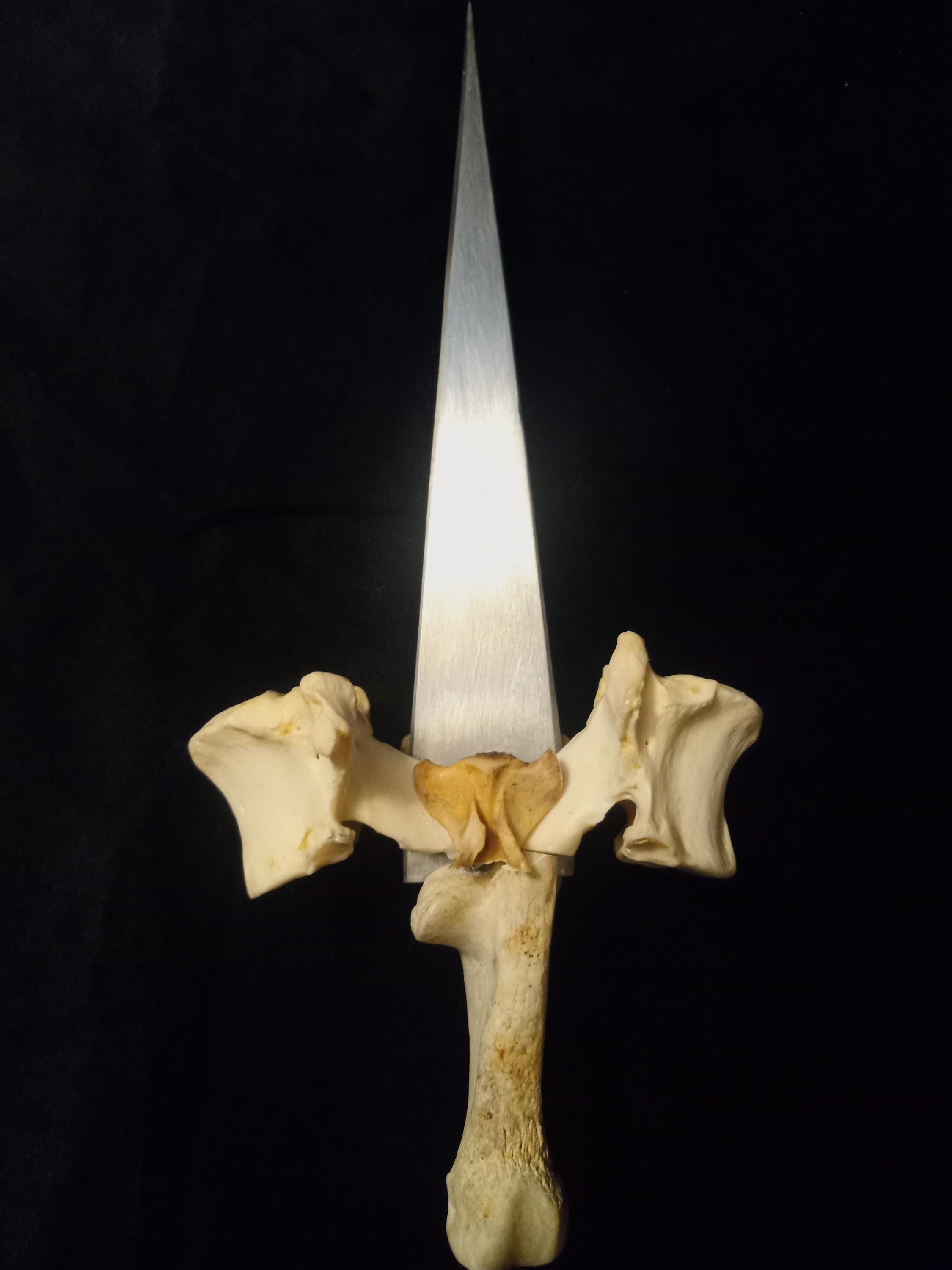 Ceremonial Dagger With Bone Handle - Etsy