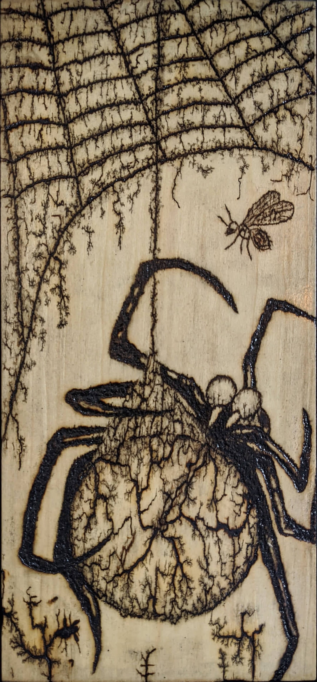 100% Lichtenberg Spider 2 Sided Fractal Wood Burn Art - Etsy