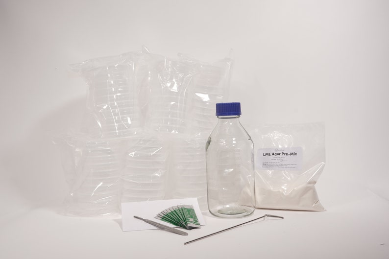 Complete DIY Home Agar Kit All You Need to Do Home Mycology - Etsy