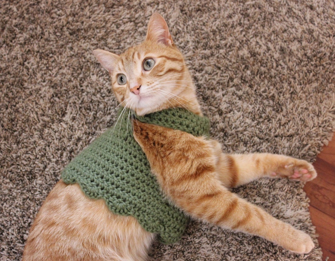 Olive Green Scalloped Edge Cat Sweater - Etsy