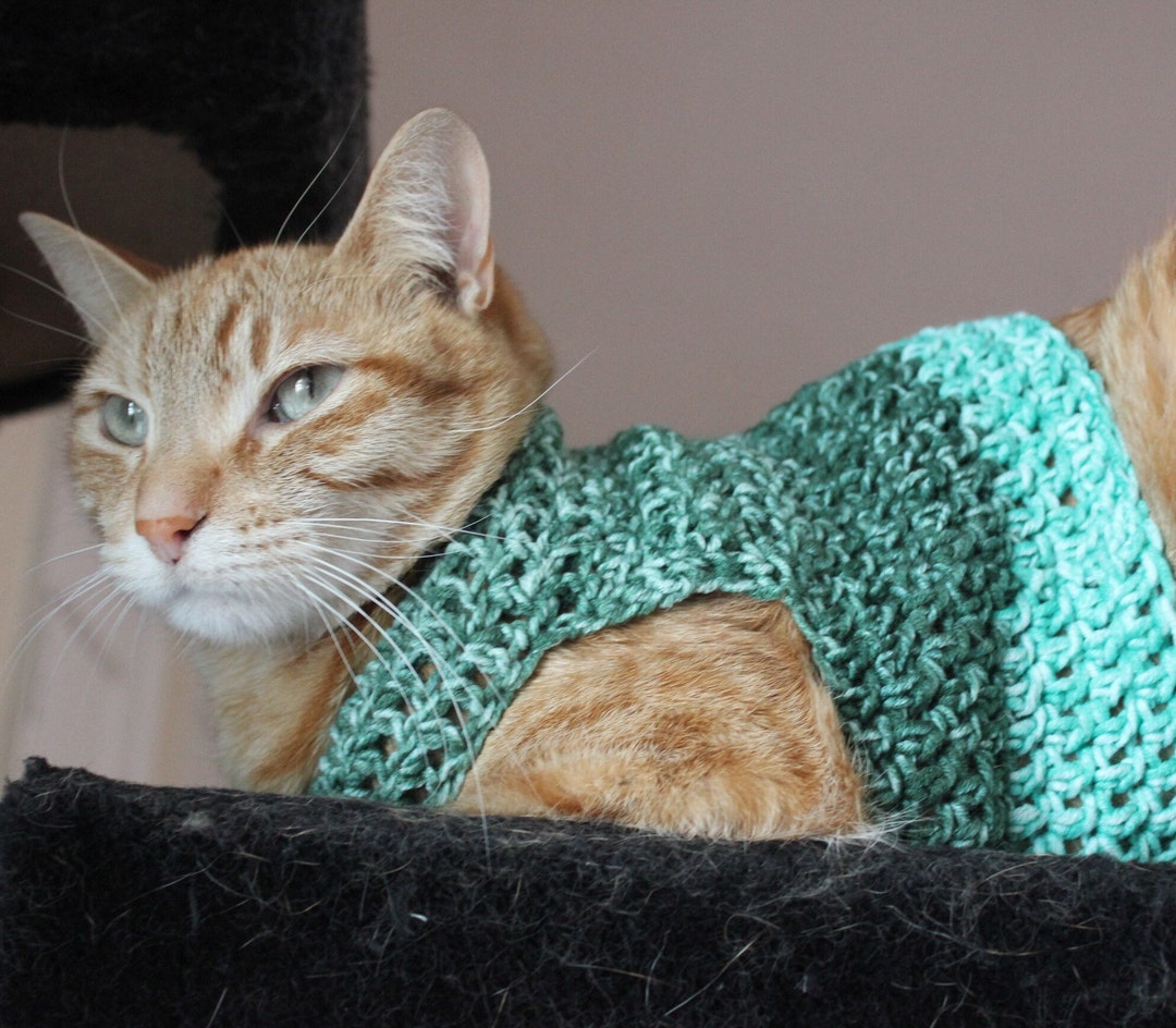 Zen Green Cat Sweater - Etsy