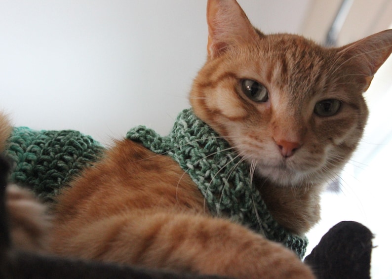 Zen Green Cat Sweater - Etsy