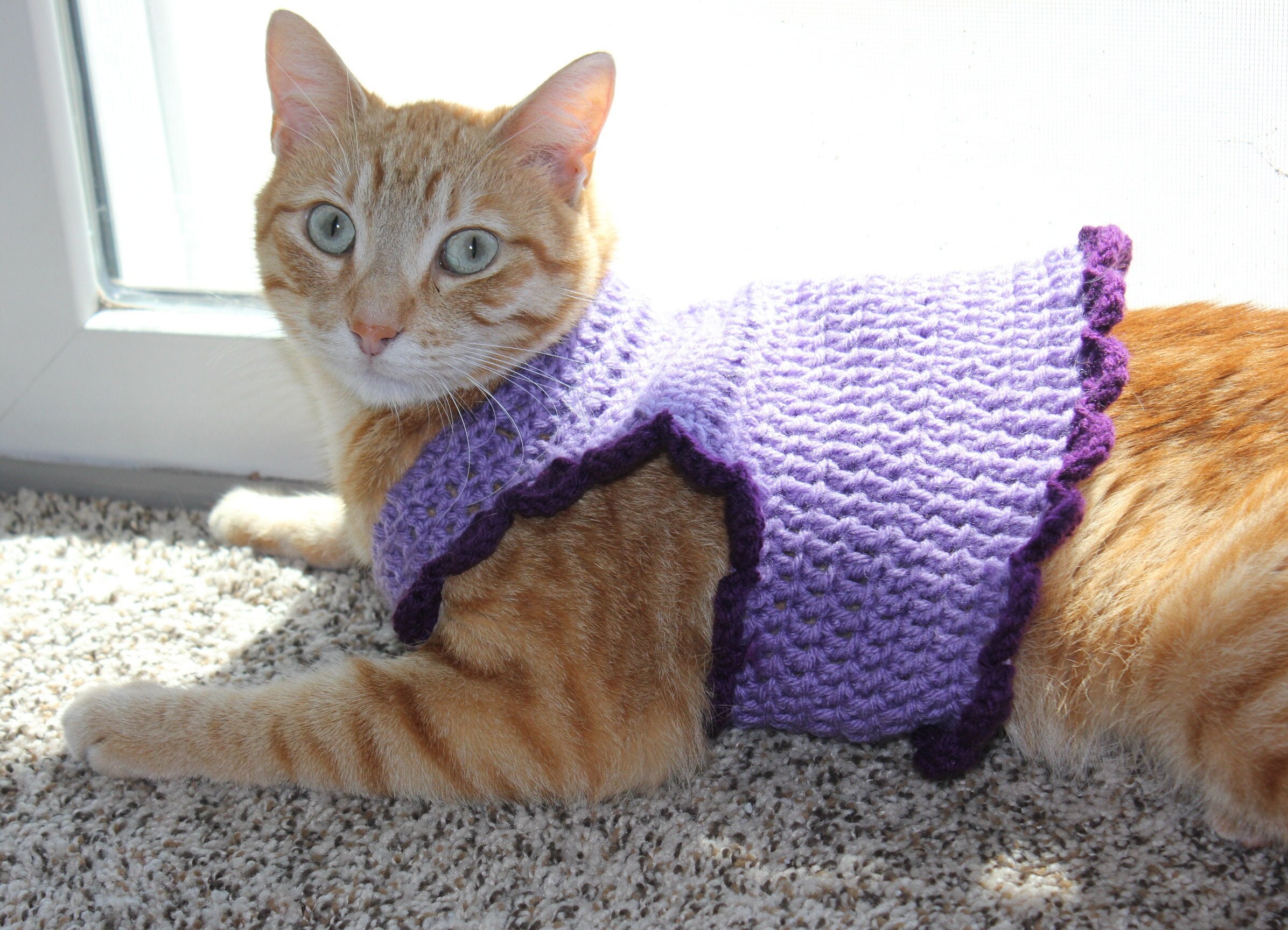 Purple Southern Belle Cat Costume - Etsy