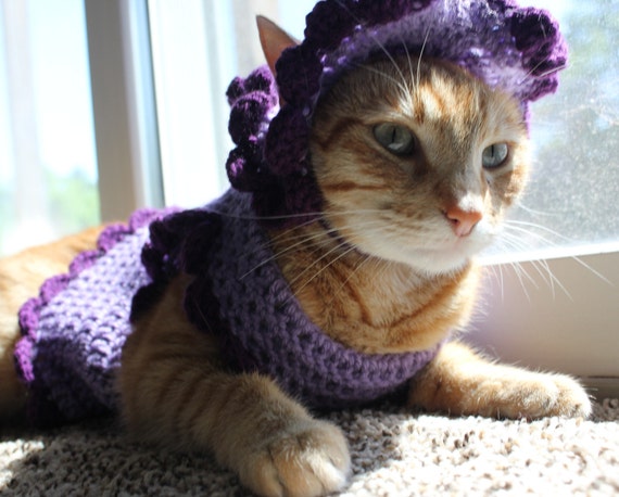 Purple Southern Belle Cat Costume - Etsy