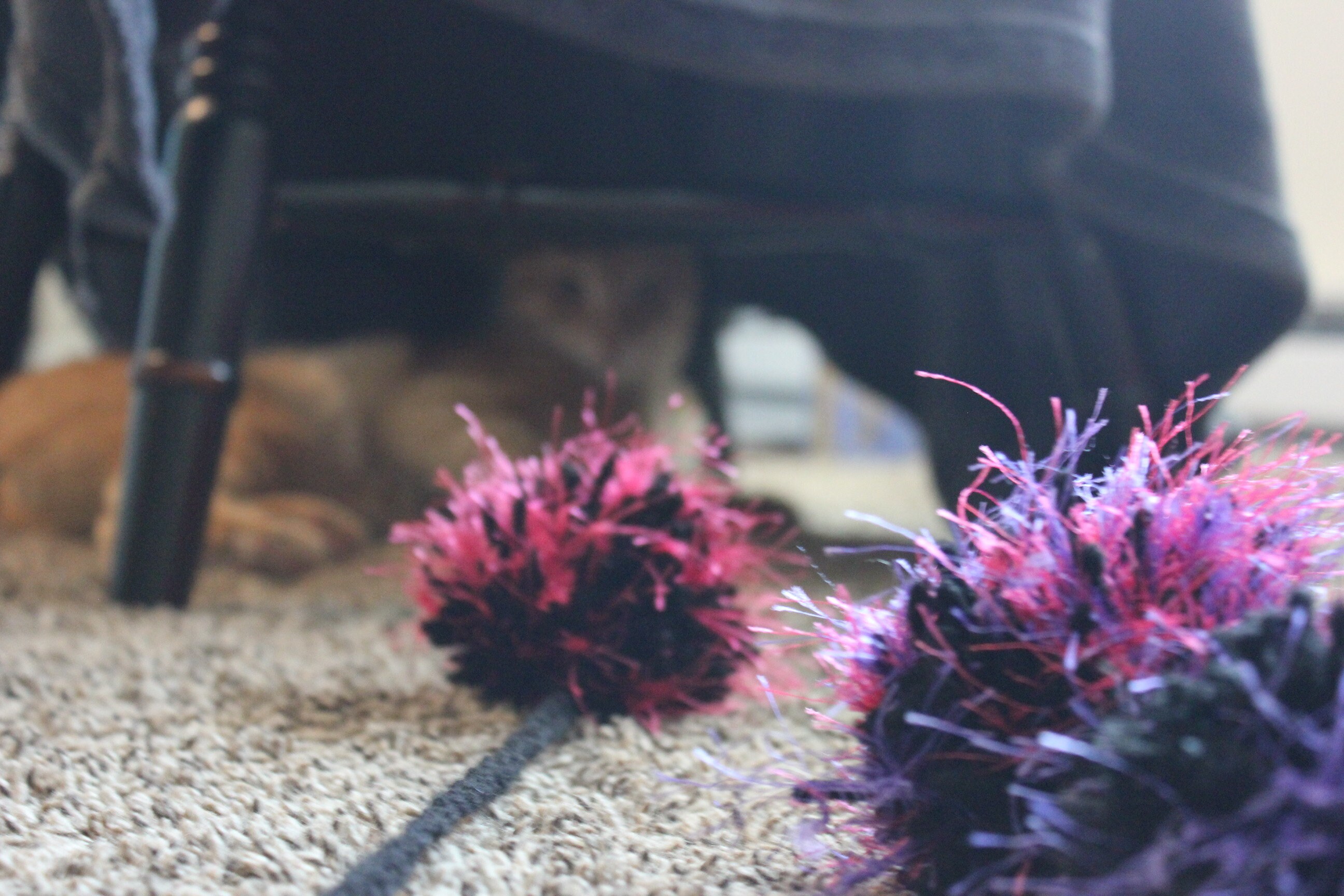 Pink and Purple Fuzzy Puffball Cat Toy Set - Etsy