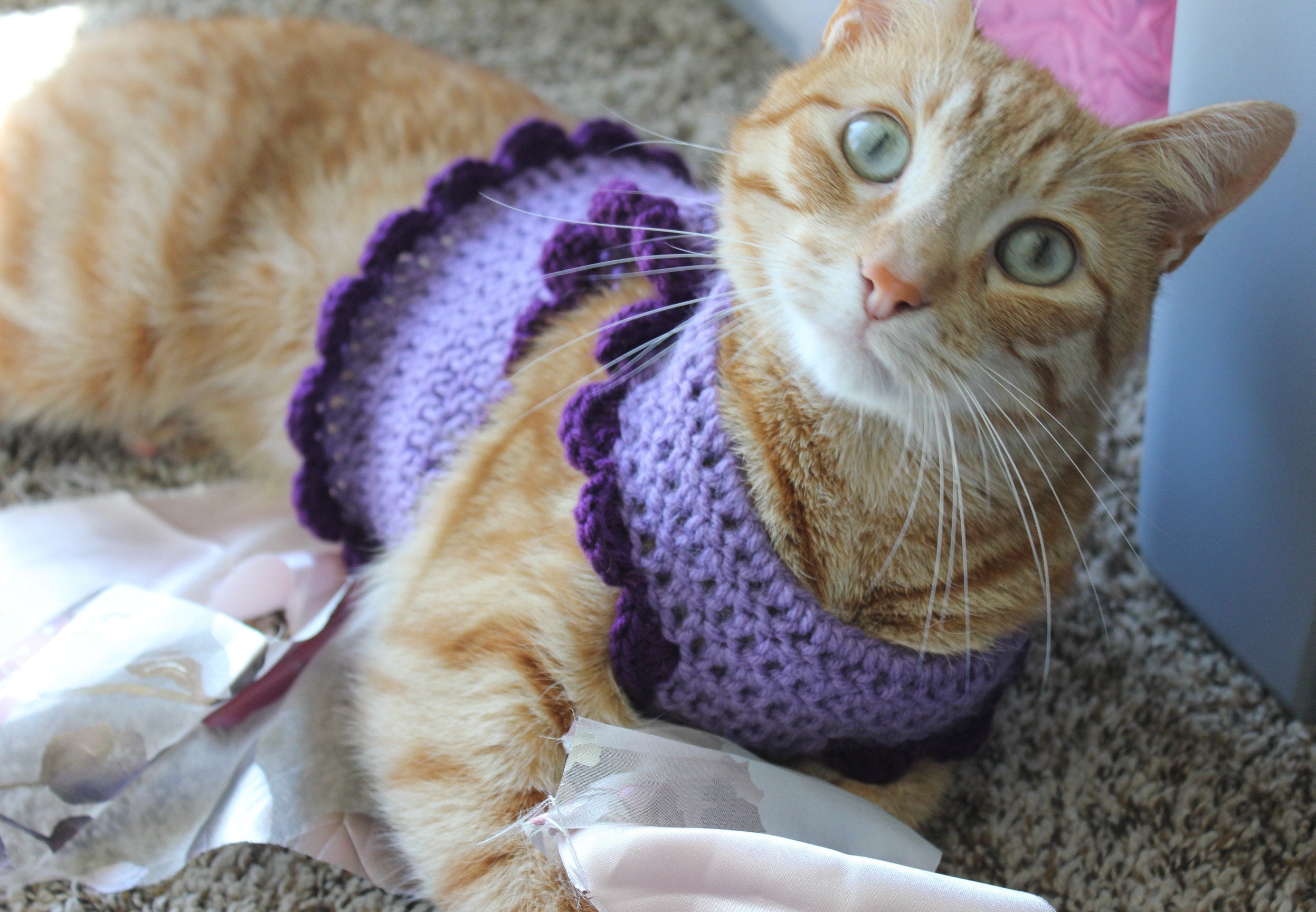 Purple Southern Belle Cat Costume - Etsy