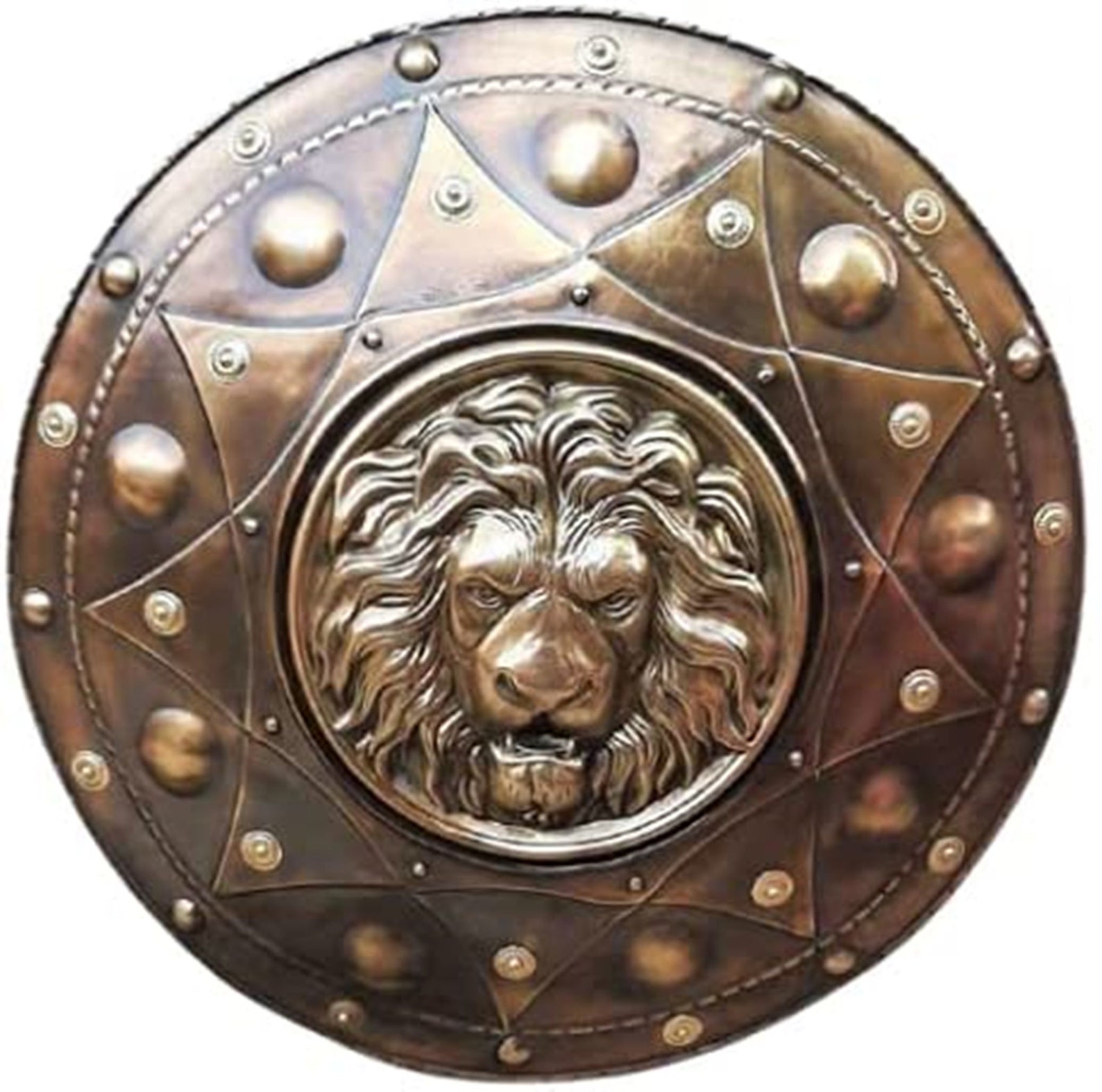 Best Round Shields Lion Face Shield Steel Spartan Shields - Etsy