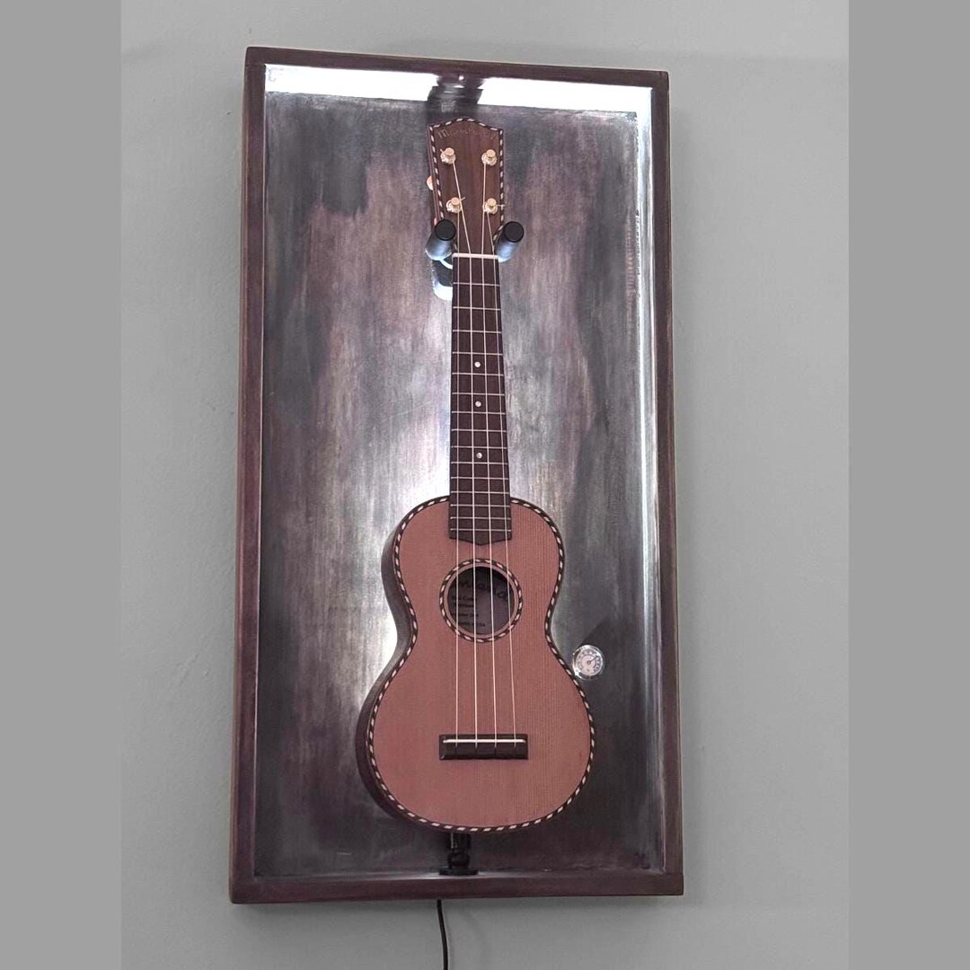 Ukulele Wall Display Frame With LED Spotlight & Hygrometer - Urban Gray ...