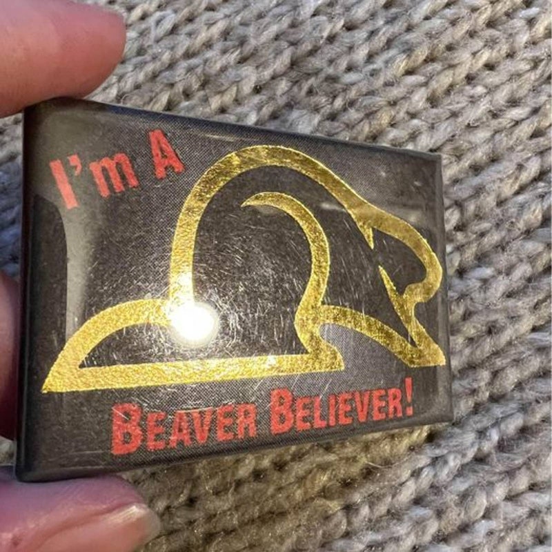 Beaver Brooch - Etsy