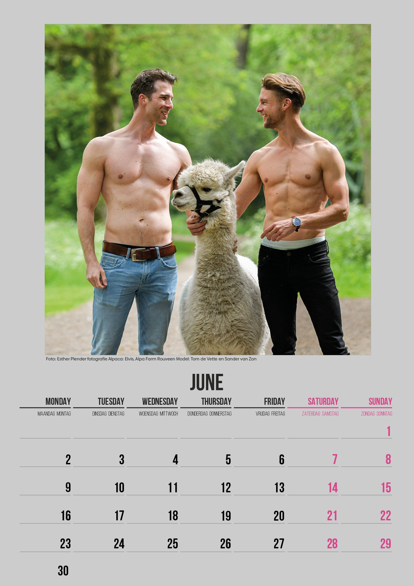 Alpaca & Hunk Calendar 2025 - Etsy