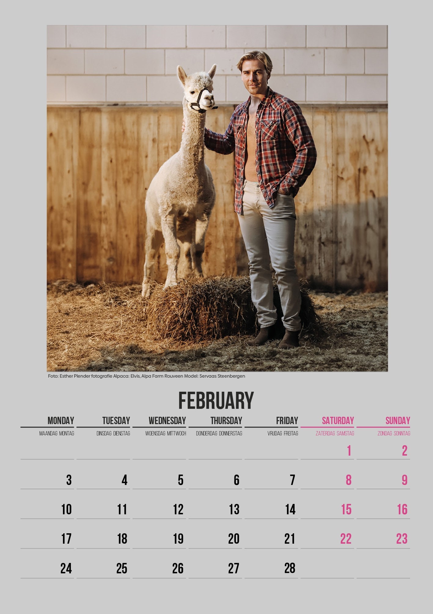 Alpaca & Hunk Calendar 2025 - Etsy