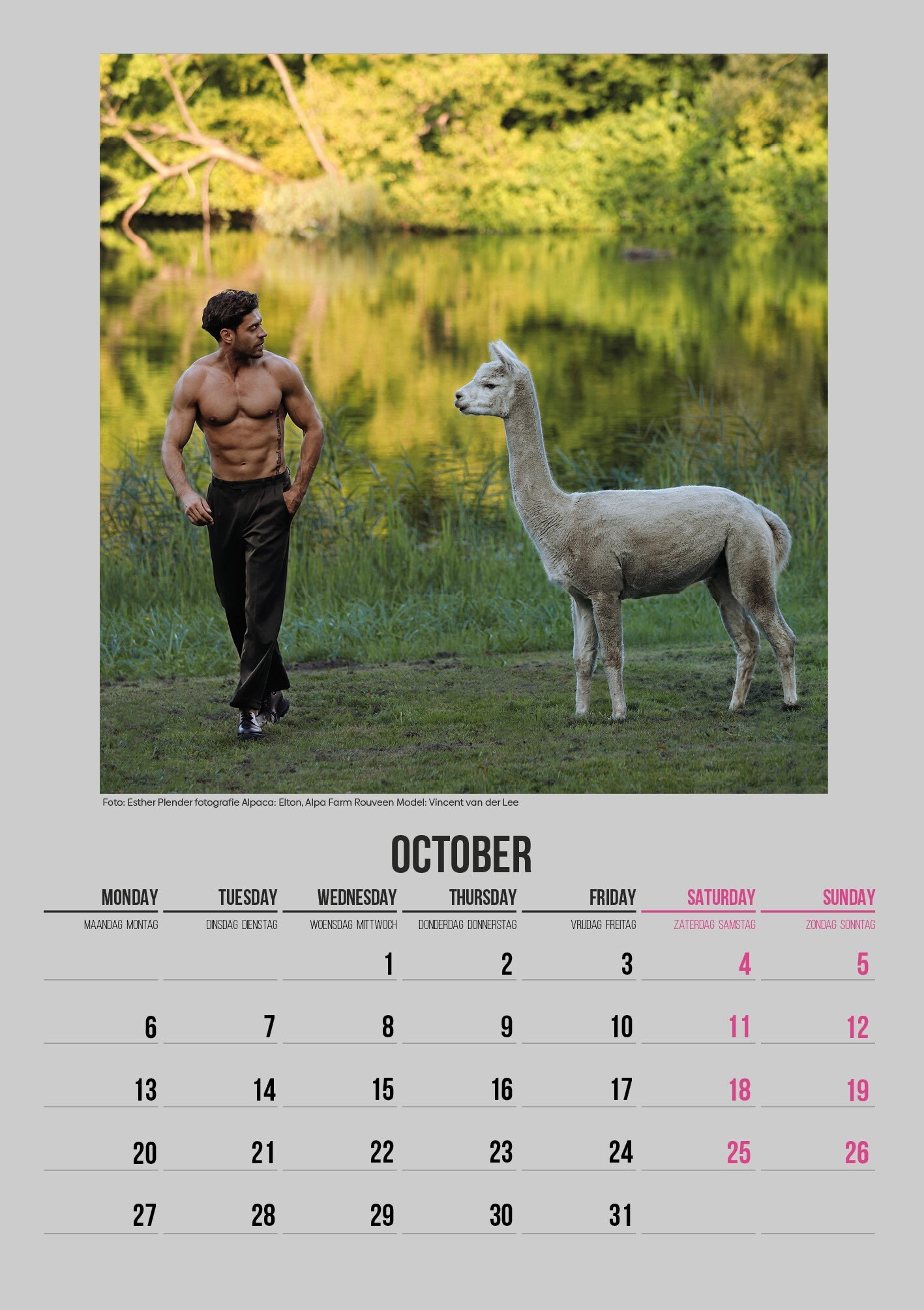 Alpaca & Hunk Calendar 2025 - Etsy