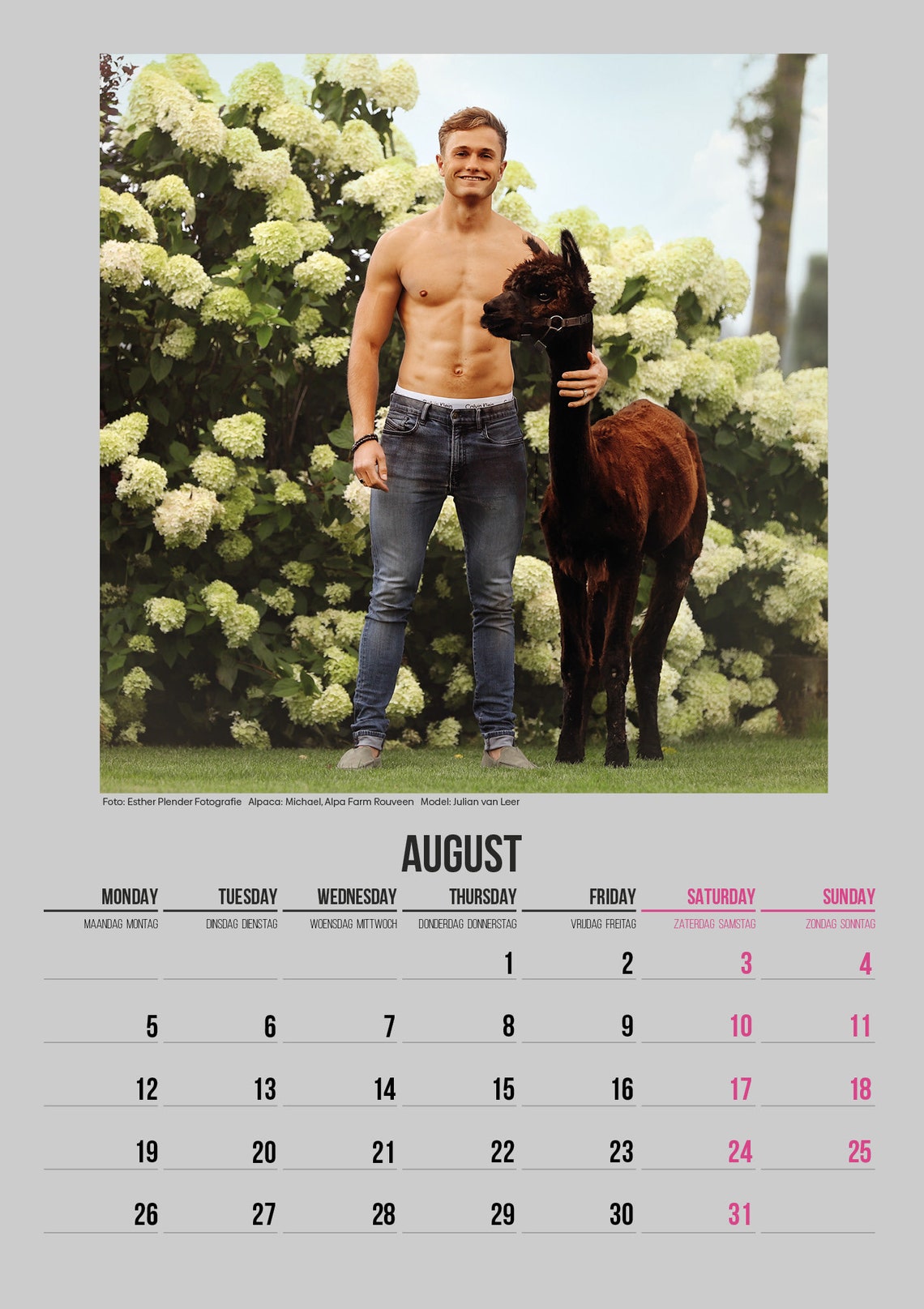 Alpaca & Hunk Calendar 2024 - Etsy