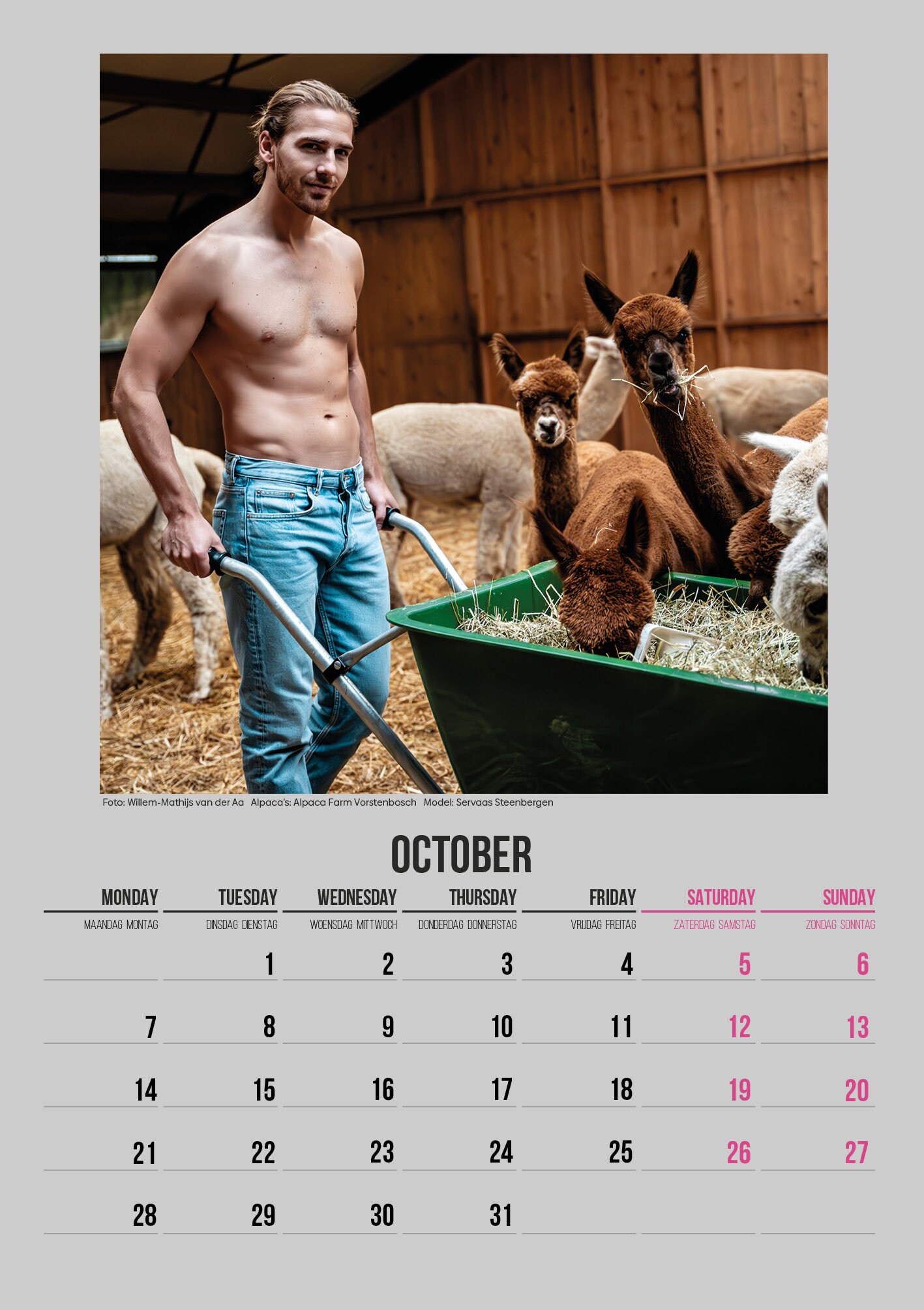 Alpaca & Hunk Calendar 2024 - Etsy