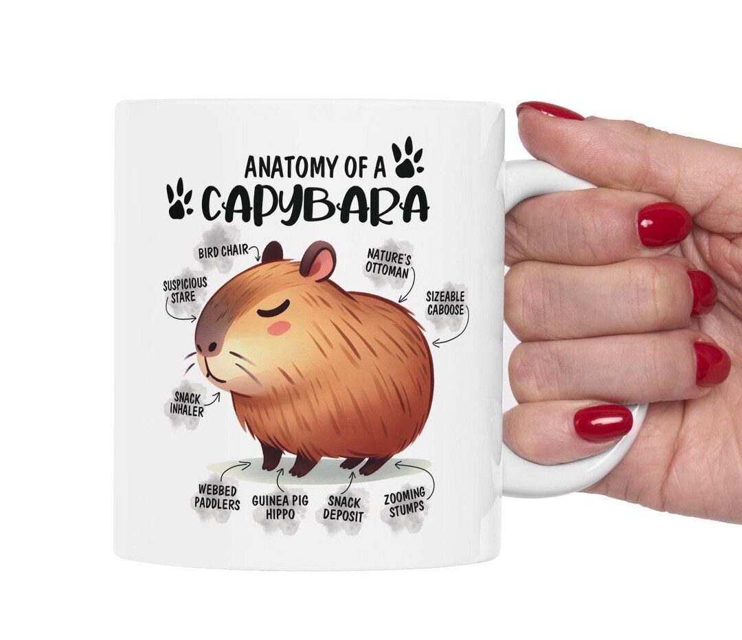 Capybara Mug Capybara Cup Capybara Gifts Anatomy of a Capybara Mug ...