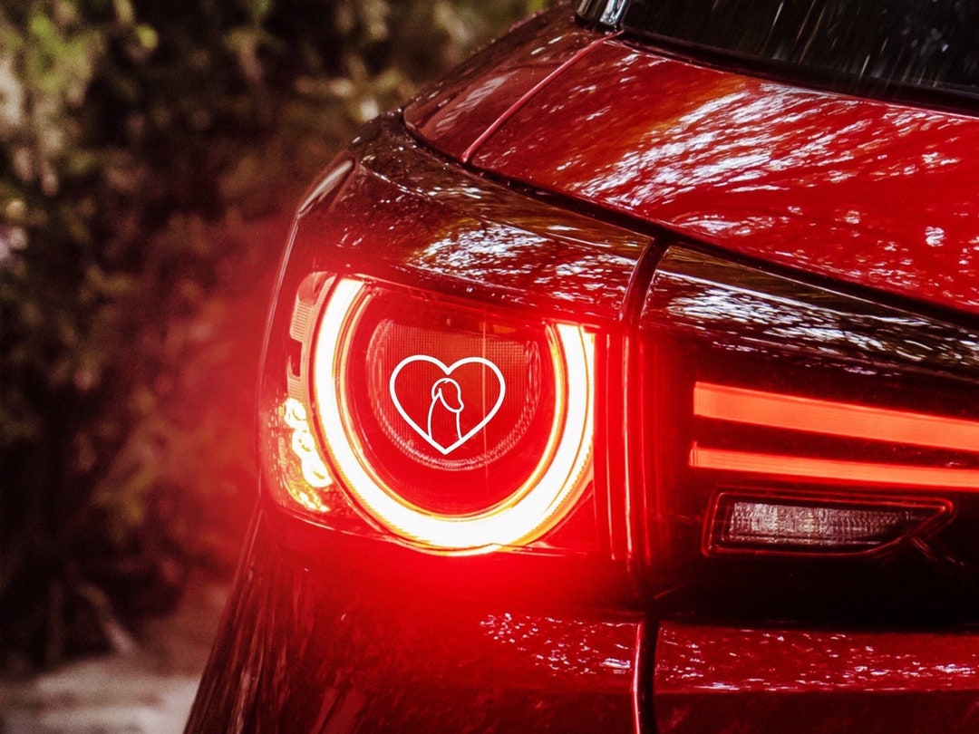 Discreet Wiener Decal, Heart Peen Sticker, Penis, Prank Decal, Penis ...