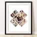 Buy Photo Collage Template in Diamond Shape, Photography Portfolio in ...