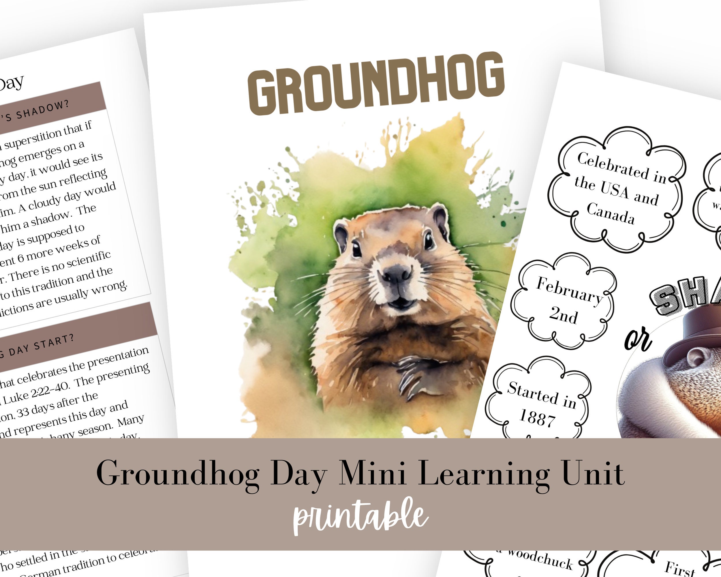 Groundhog Day Mini Learning Unit | Unit Study | Homeschooling | Morning ...