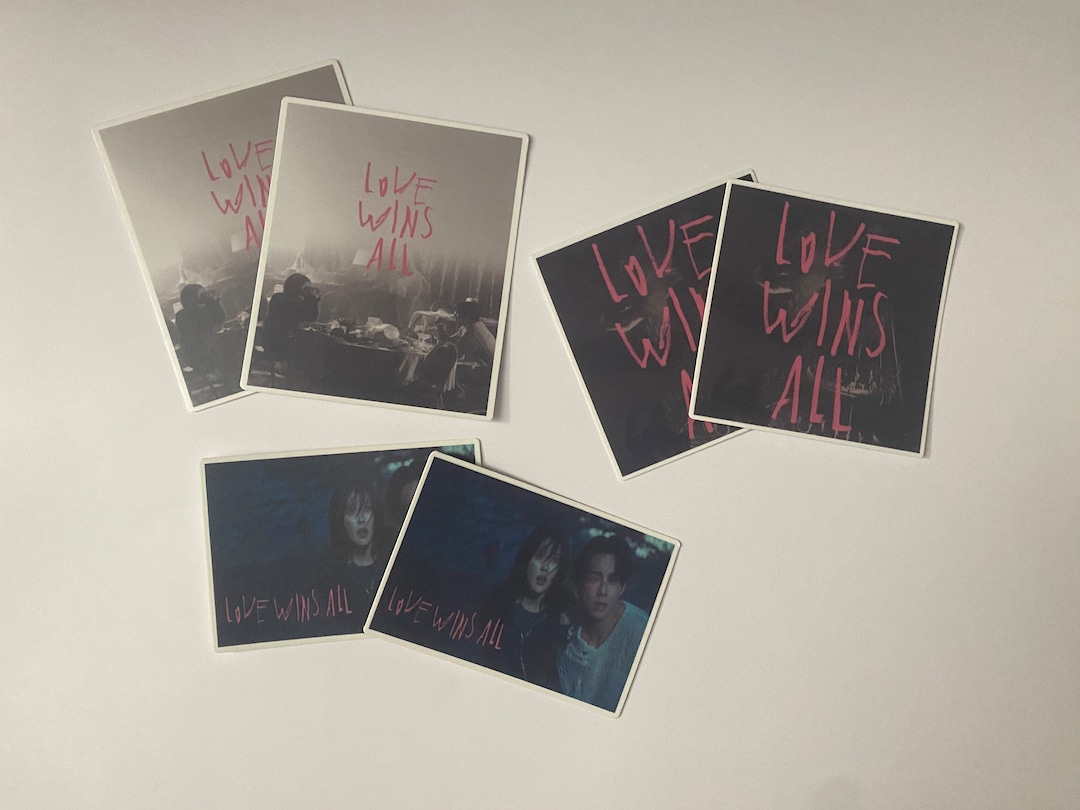 IU love Wins All White Matte Sticker - Etsy