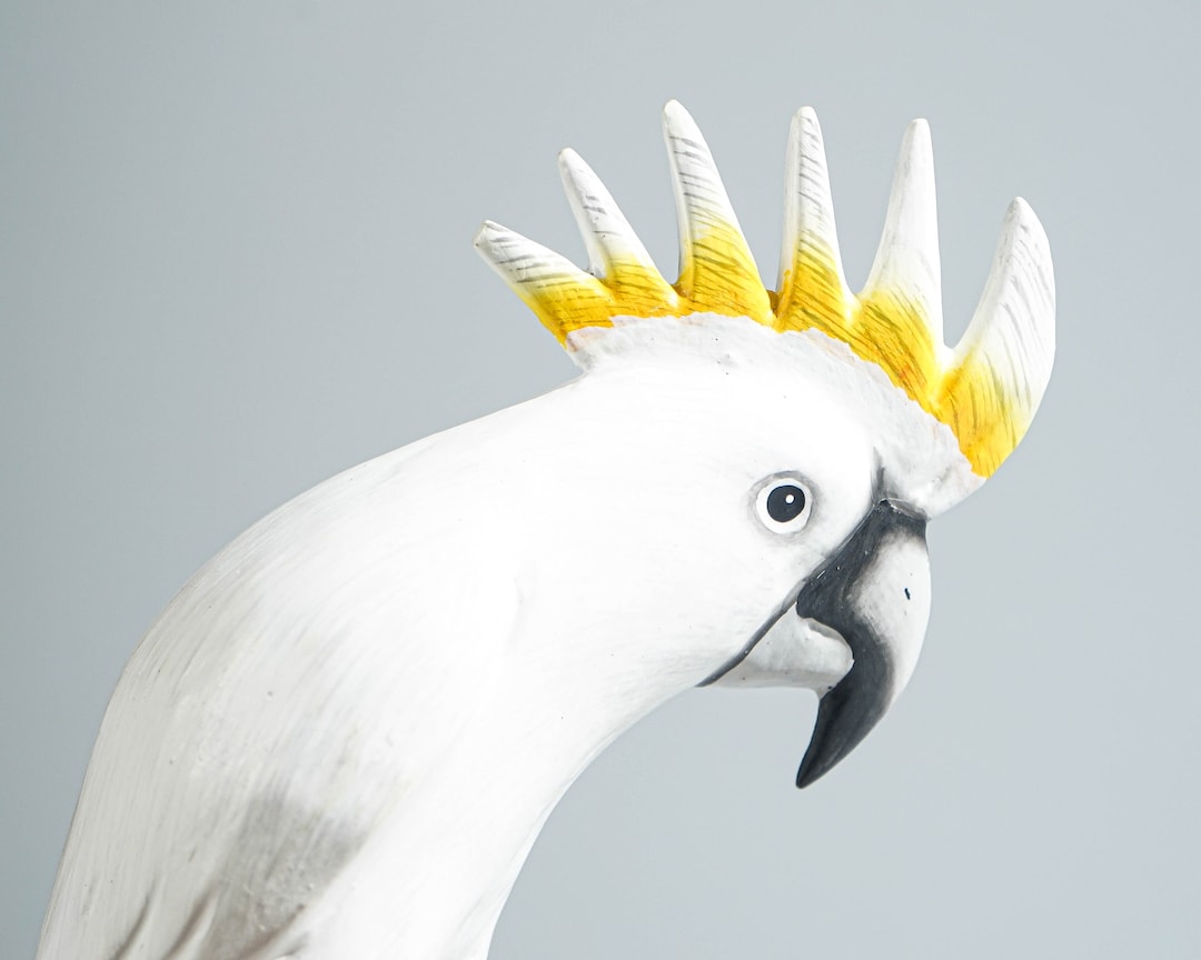Sulphur-crested Cockatoo Statue, Painted Wood Carving, Wooden Bird Art ...