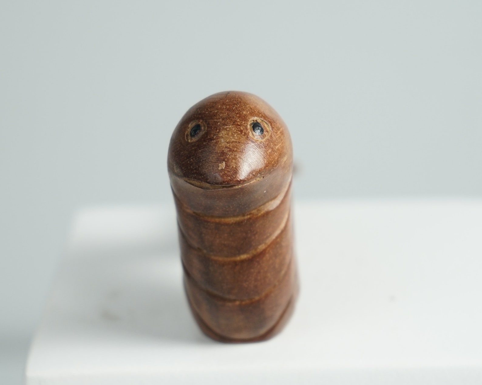 Wooden Worm Sculpture Animal Statue Wood Carving Rustic - Etsy