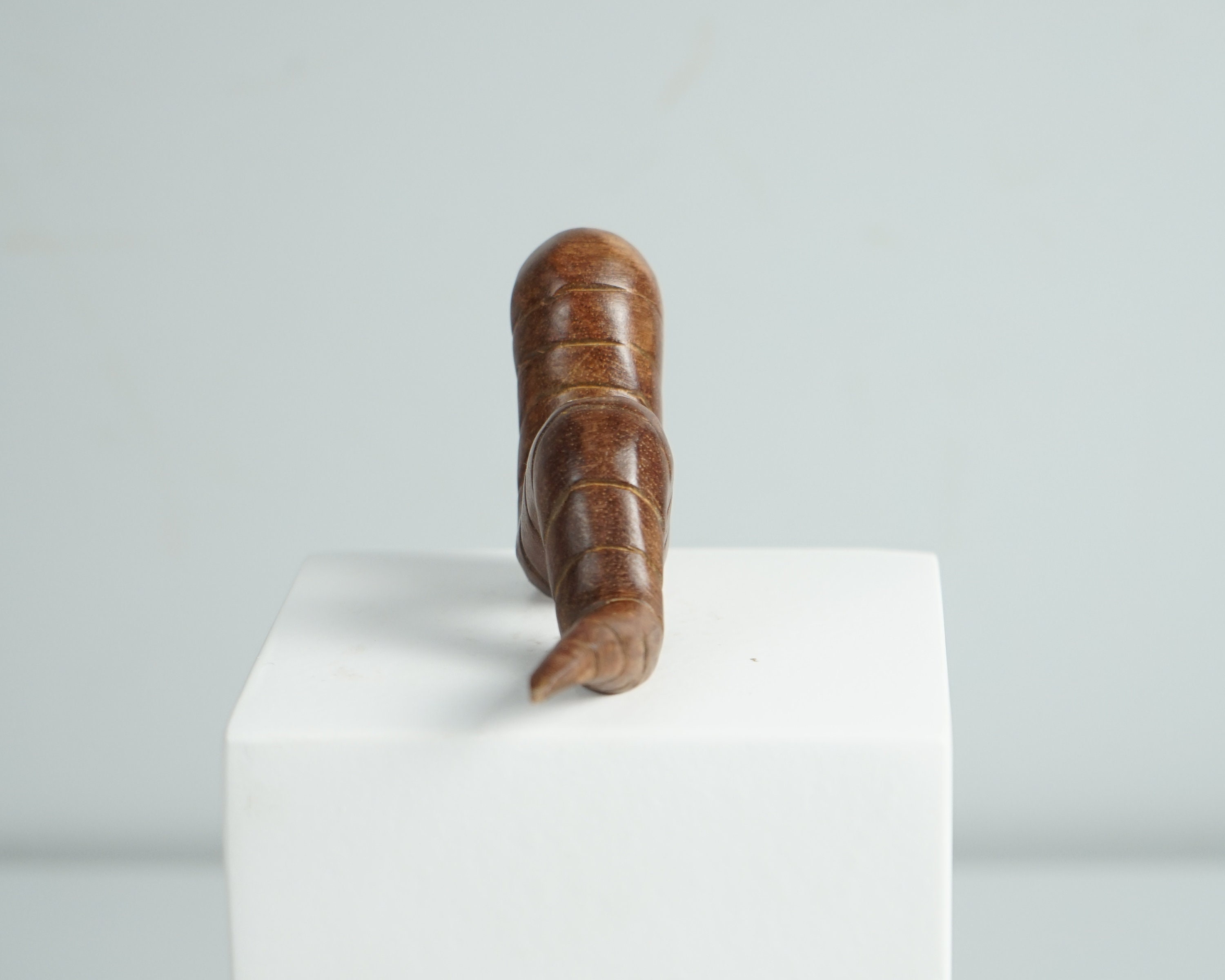 Wooden Worm Sculpture Animal Statue Wood Carving Rustic - Etsy