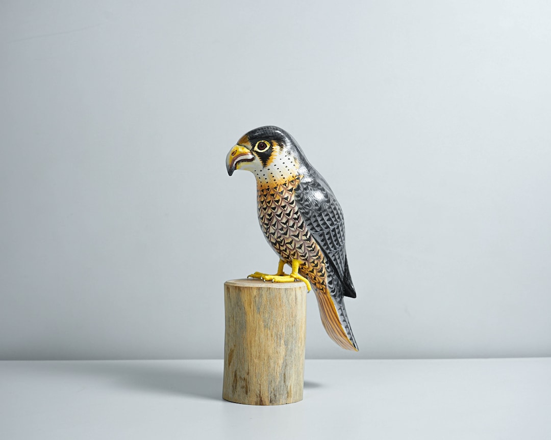 Orange-breasted Falcon Statue, Painted Wood Carving, Wooden Bird Art ...