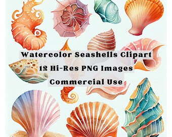 Watercolor Sea Shells Clipart Instant Download - Commercial Use ...