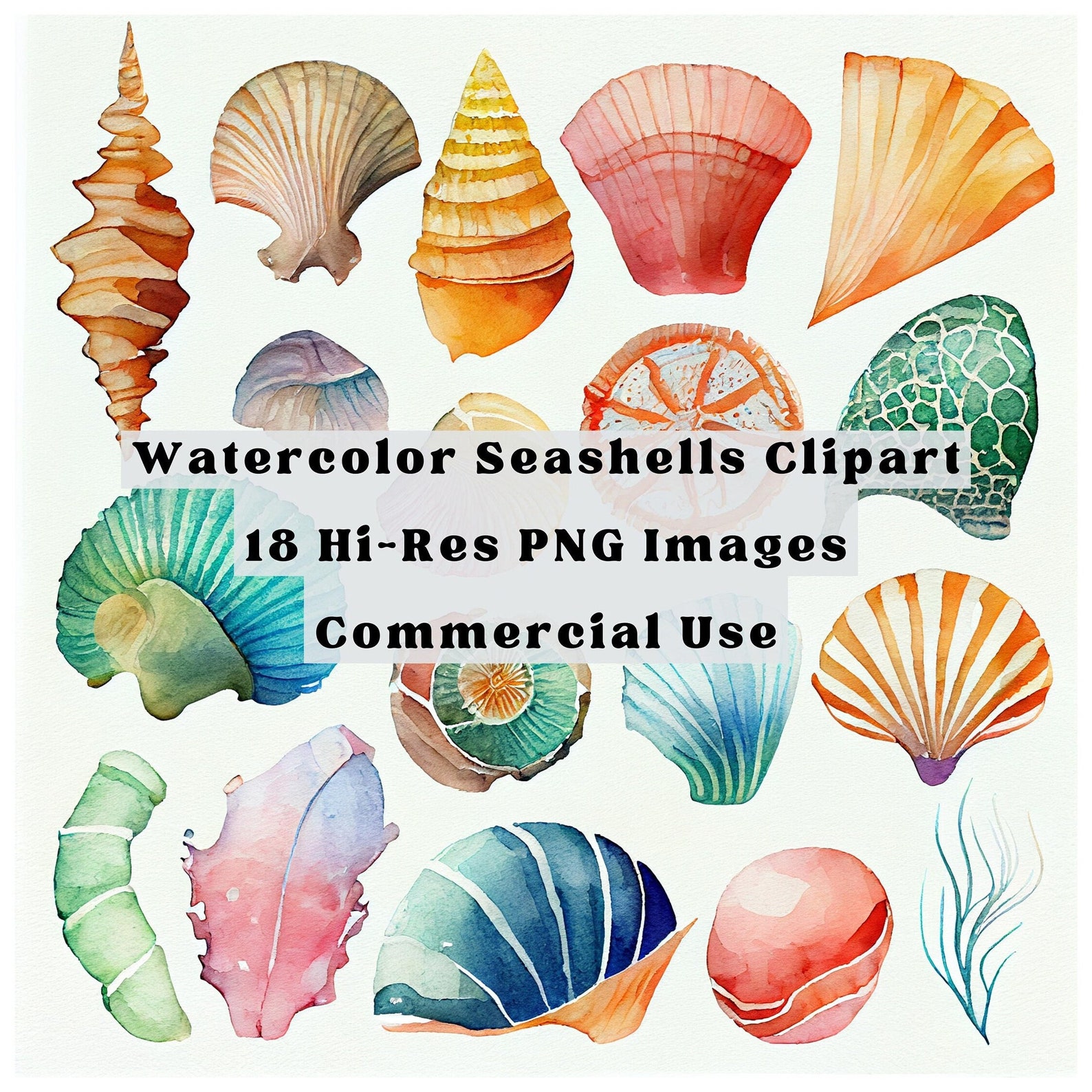 Watercolor Sea Shells Clipart Instant Download - Commercial Use ...