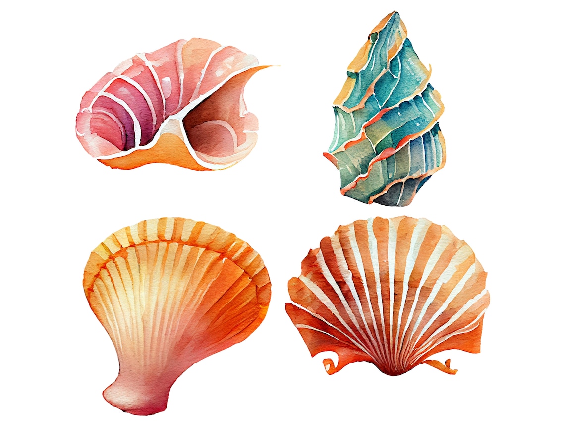 Watercolor Seashells Clip Art Instant Download Commercial Use Sea Shell ...