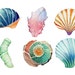 Watercolor Sea Shells Clipart Instant Download - Commercial Use ...