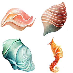 Watercolor Seashells Clip Art Instant Download - Commercial Use - Sea ...
