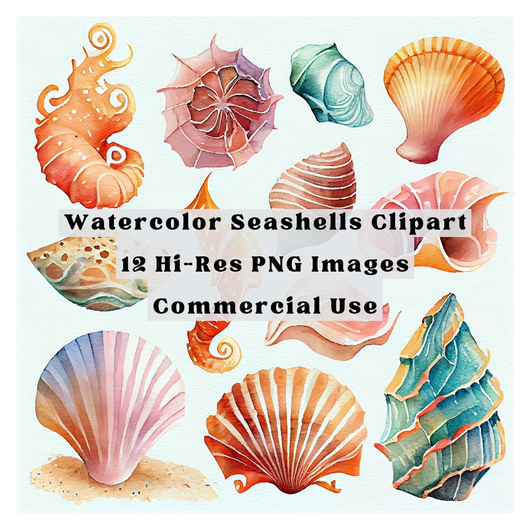 Watercolor Seashells Clip Art Instant Download - Commercial Use - Sea ...