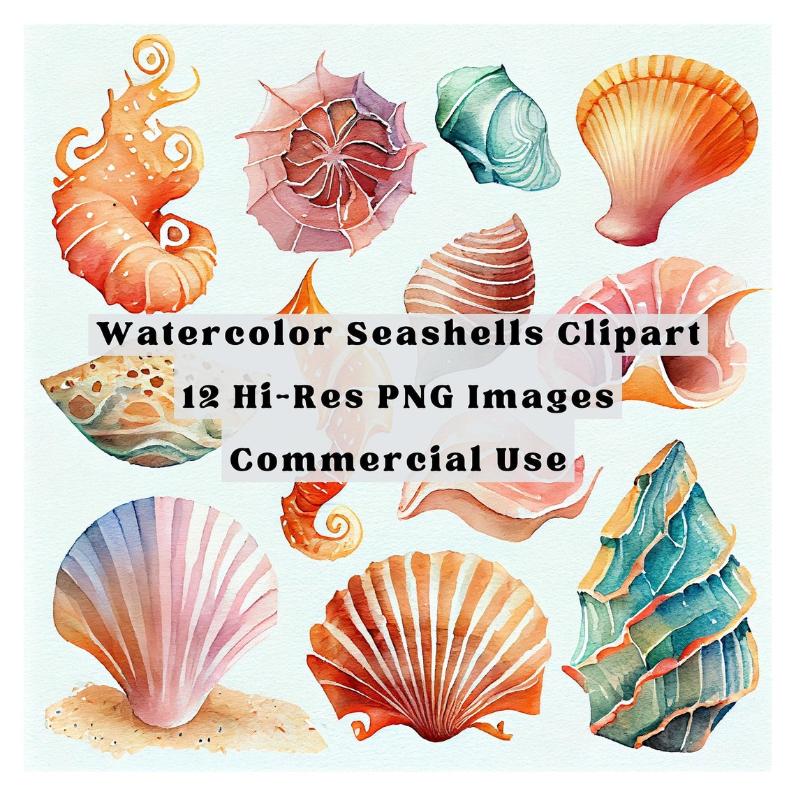Watercolor Seashells Clip Art Instant Download Commercial - Etsy
