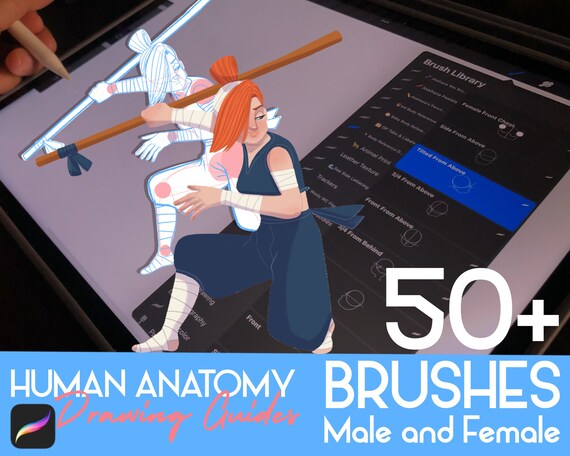 Body Reference Drawing Guide Procreate Brushes Body Parts - Etsy India