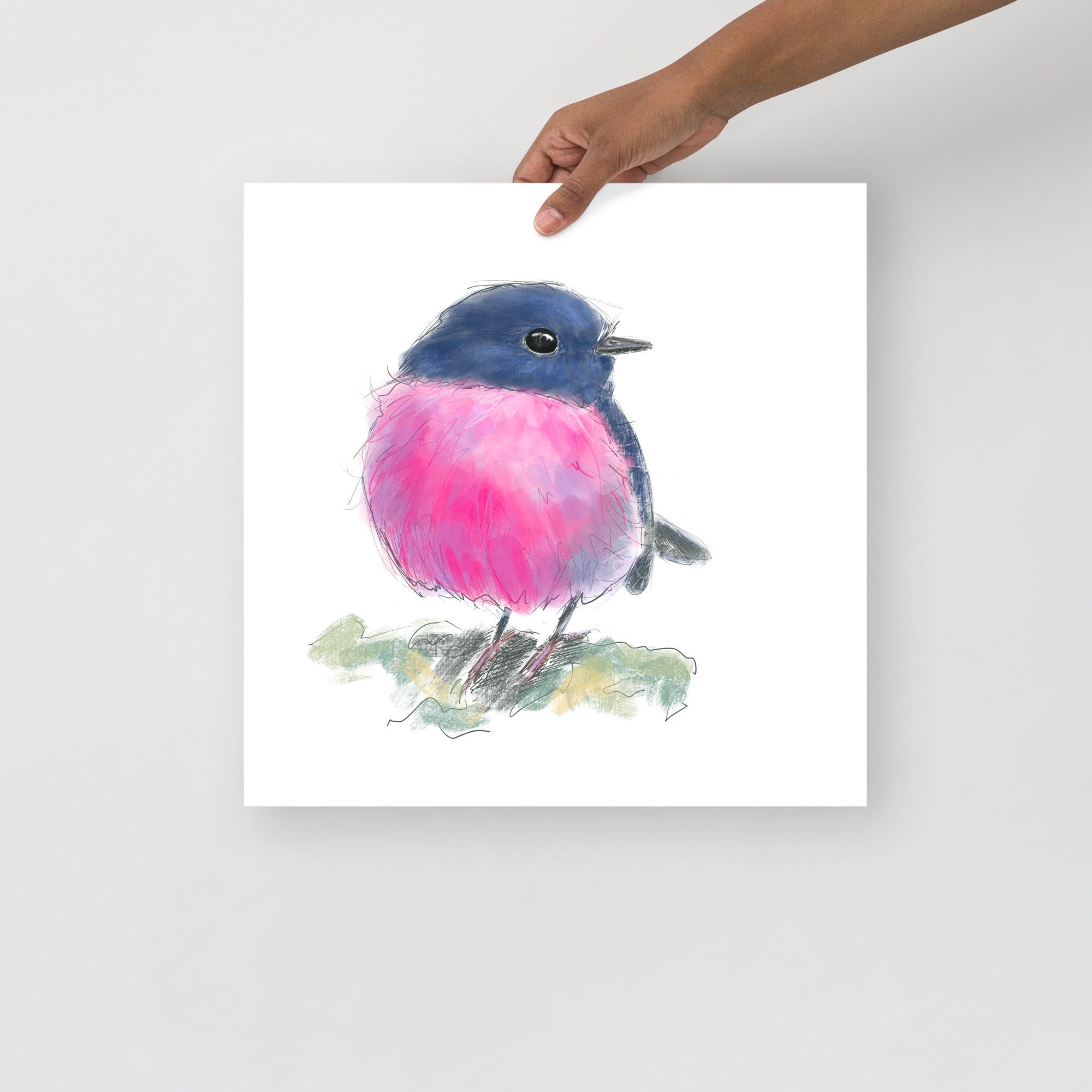 Pink Robin Art Print, Bird Wall Art, Australian Bird Art, Pink Robin ...