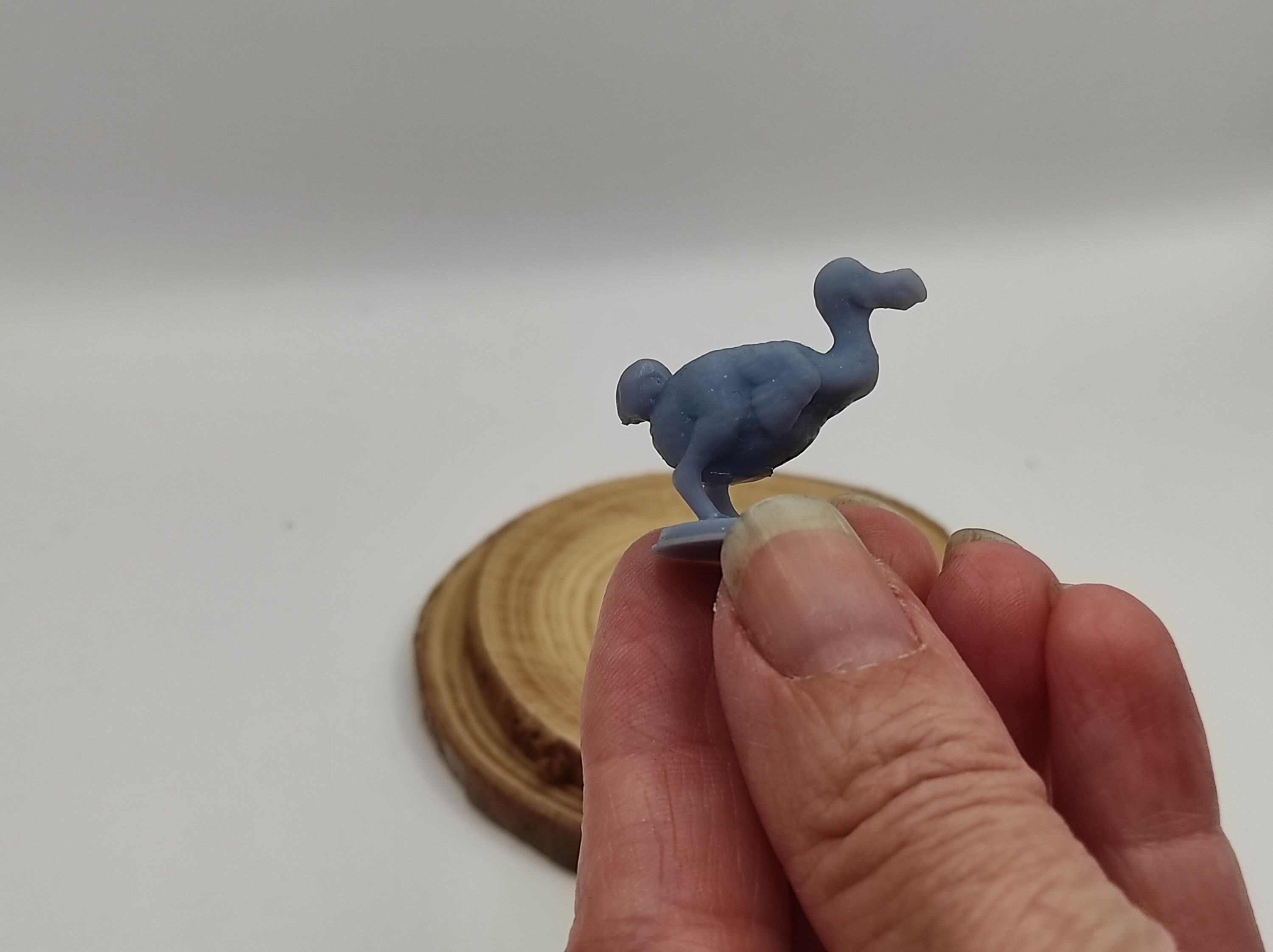Player Board Game Piece DODO Bird. Gifts, Cakes, Token DIY or Painted ...