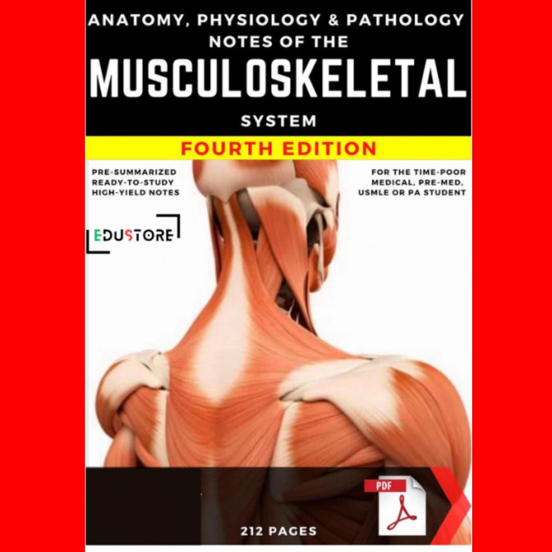 The Muscular System Study Guide Physiology, Anatomy, Pathophysiology ...