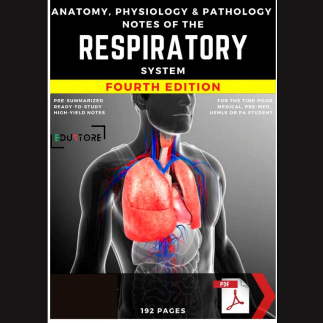 The Respiratory System Study Bundle Nursing Notes, Flashcards & Study ...