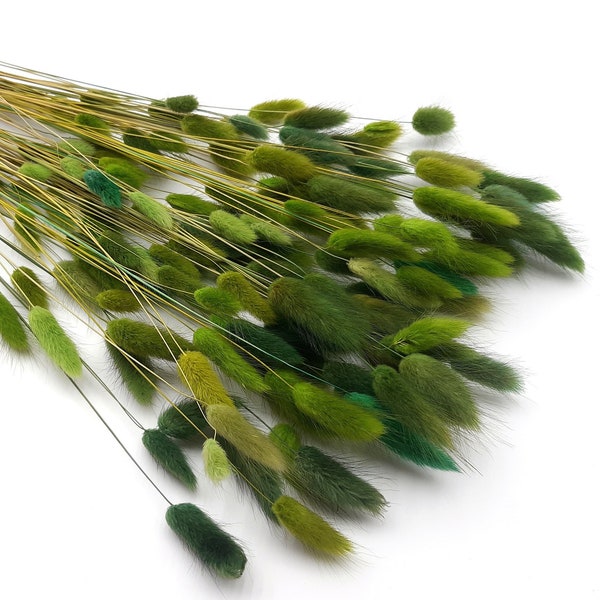 Dried Greenery - Etsy