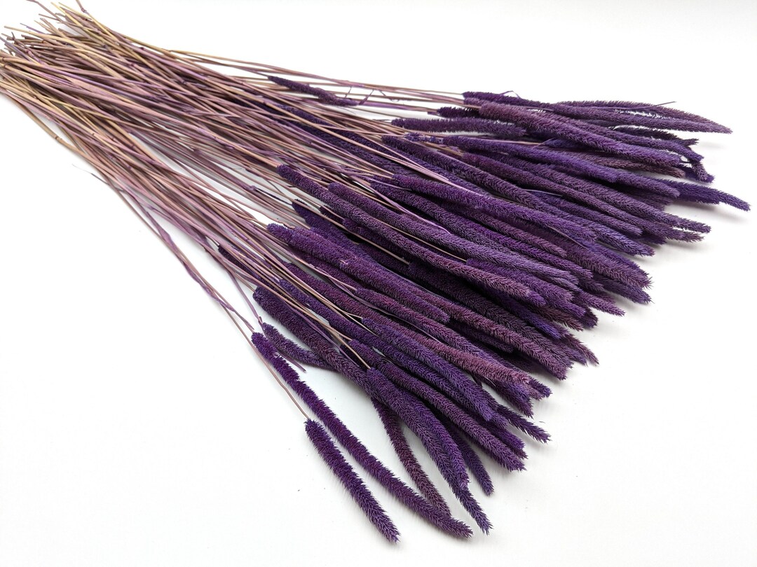 Purple Reed Grass Purple Dried Grass Dried Wildflowers - Etsy