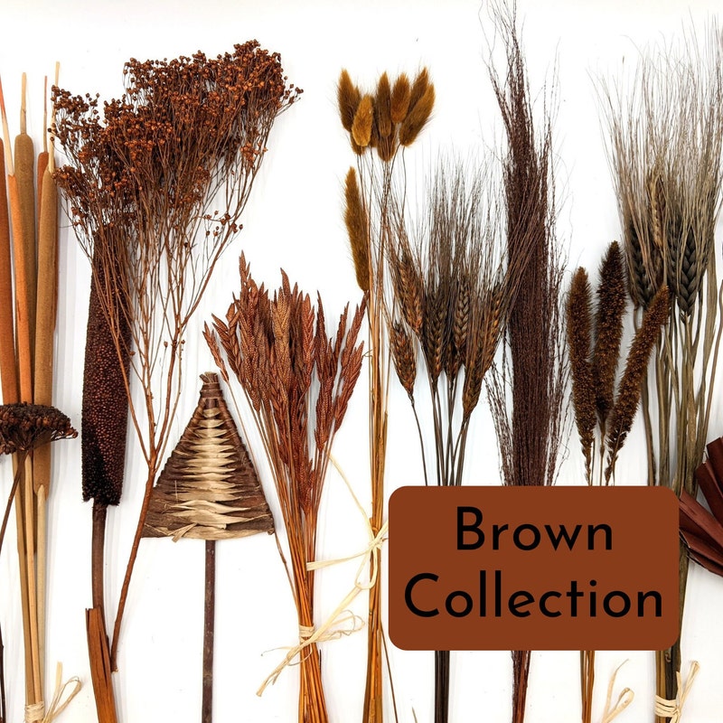 Natural Dried Flower - Etsy