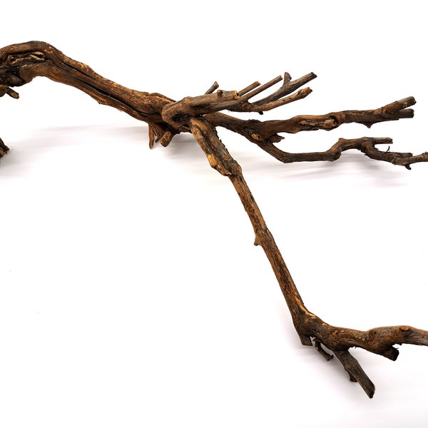 Grapewood Branch - Etsy