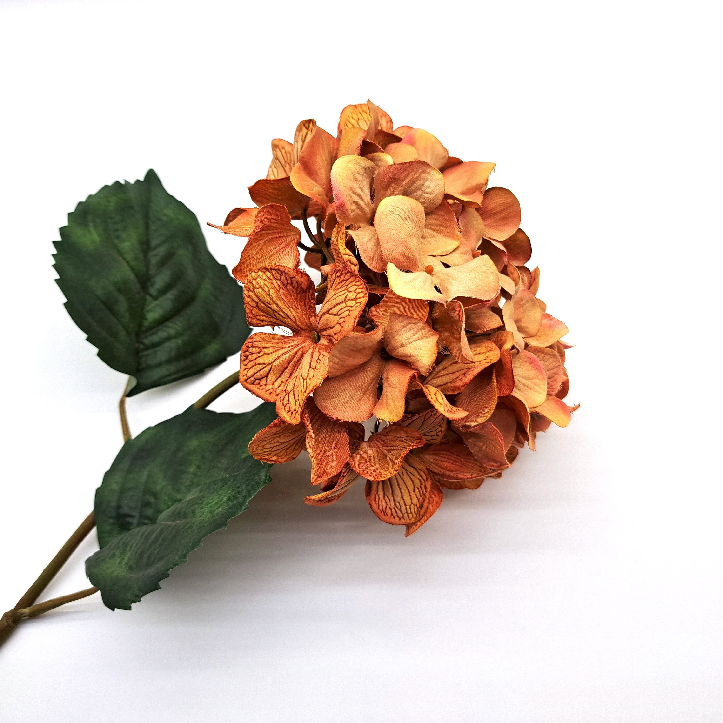 Orange Silk Hydrangea