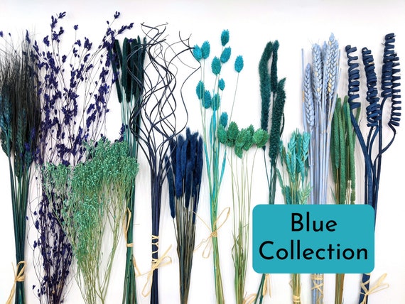 Blue Dried Flowers Blue Flowers for Arranging Blue - Etsy