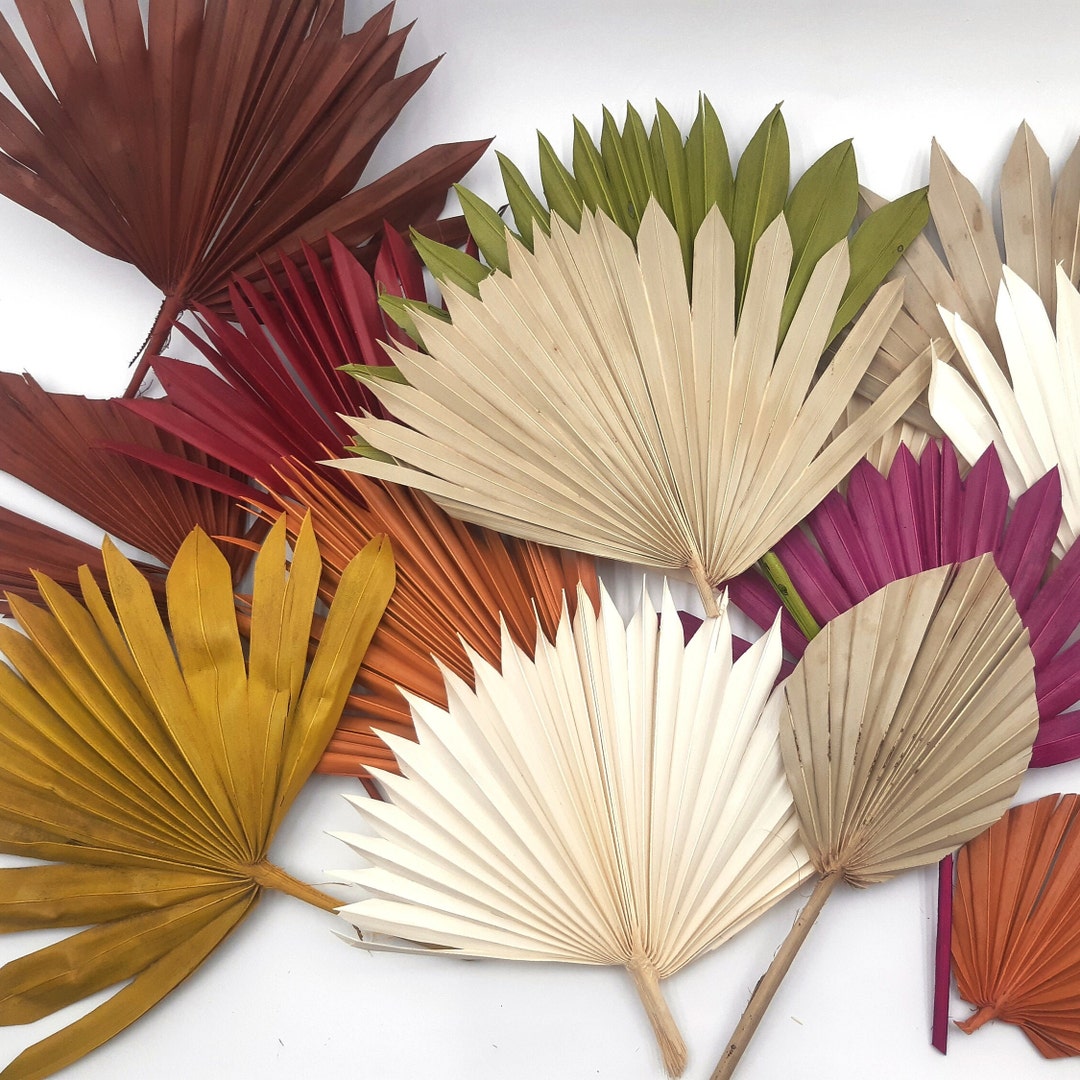 Palm Leaves for Craft Projects, Short Stems Palm Leaves, Damaged Palm ...