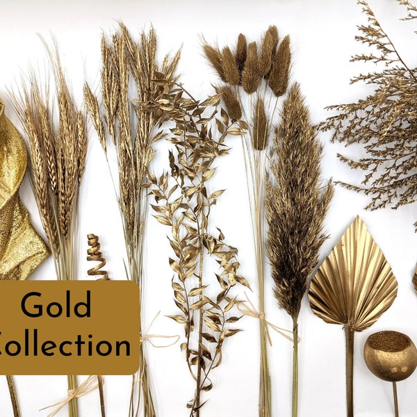 Gold Pampas Grass - Etsy