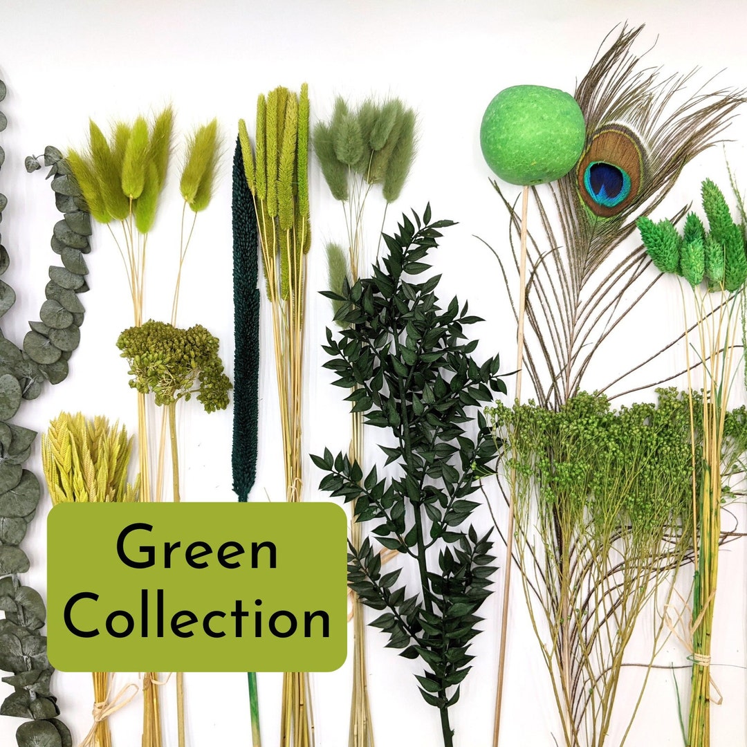 Dried Green Flowers, Dried Green Leaves, DIY Dried Flowers Supply ...